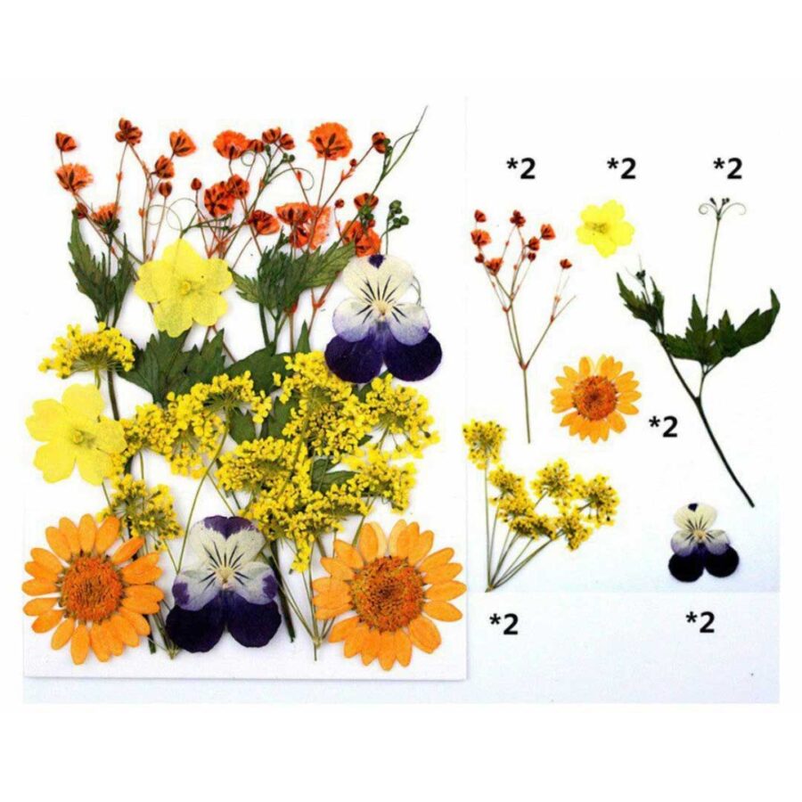 Pressed Flowers Resin Premium - Ultimate Crafting Kit